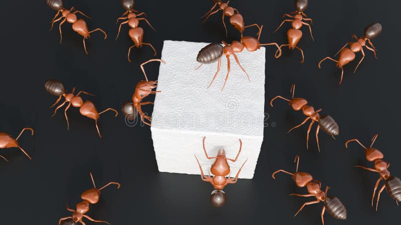 3d Rendering of Ants are Attracted To Sucrose Molecule Stock ...