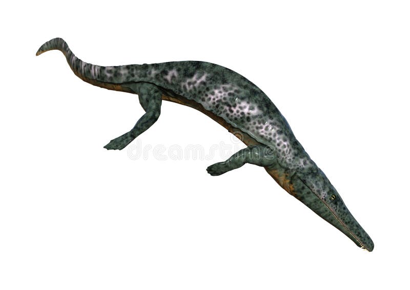 Labyrinthodontia Stock Photos - Free & Royalty-Free Stock Photos from ...