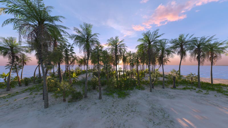 3D Rendering of the Beach with Palm Trees Stock Illustration - Illustration of sunset, landscape ...