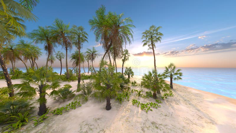 3D Rendering of the Beach with Palm Trees Stock Illustration ...