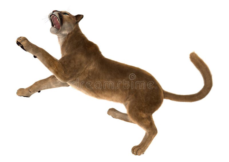 Jumping Puma Stock Illustrations – 203 Jumping Puma Stock Illustrations ...