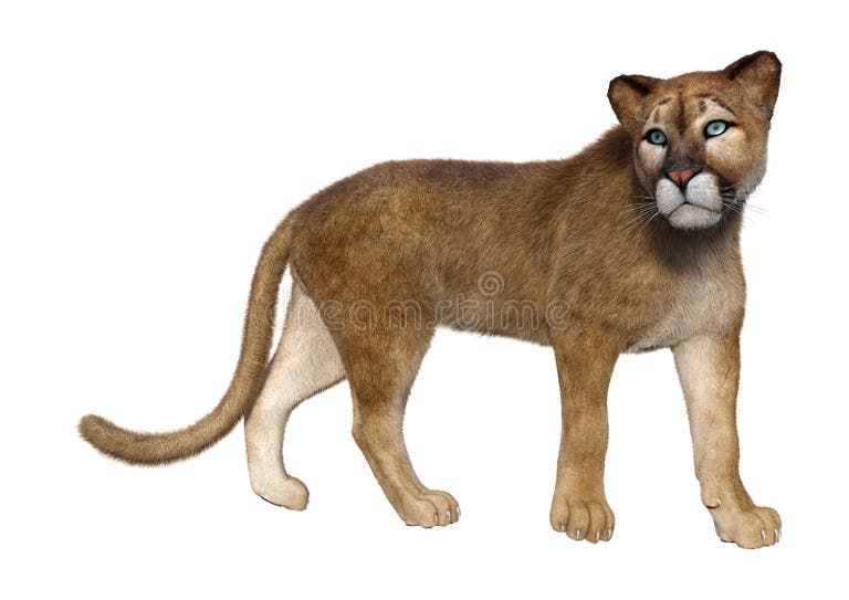 Rendering Puma Stock Illustrations – 253 Rendering Puma Stock ...