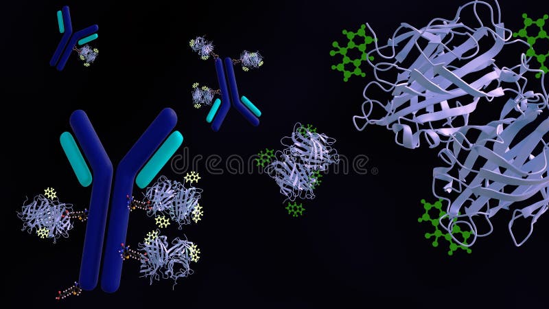 3D Rendering of a Biotinylated Antibody Linked To BODIPY Molecules or ...