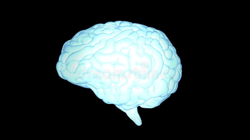 Human Brain on Green Screen Stock Footage - Video of brain, cerebral ...