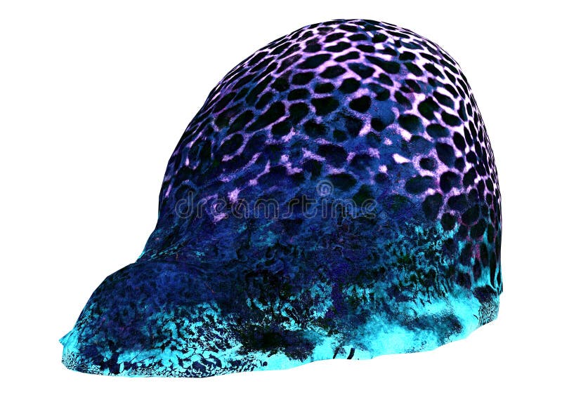 Brain coral isolated stock vector. Illustration of braincoral - 117370871