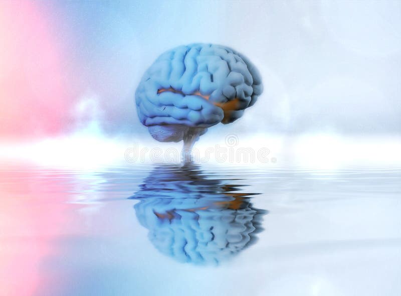 3d Rendering of a Brain Reflecting on a Blurry Water Surface Stock ...