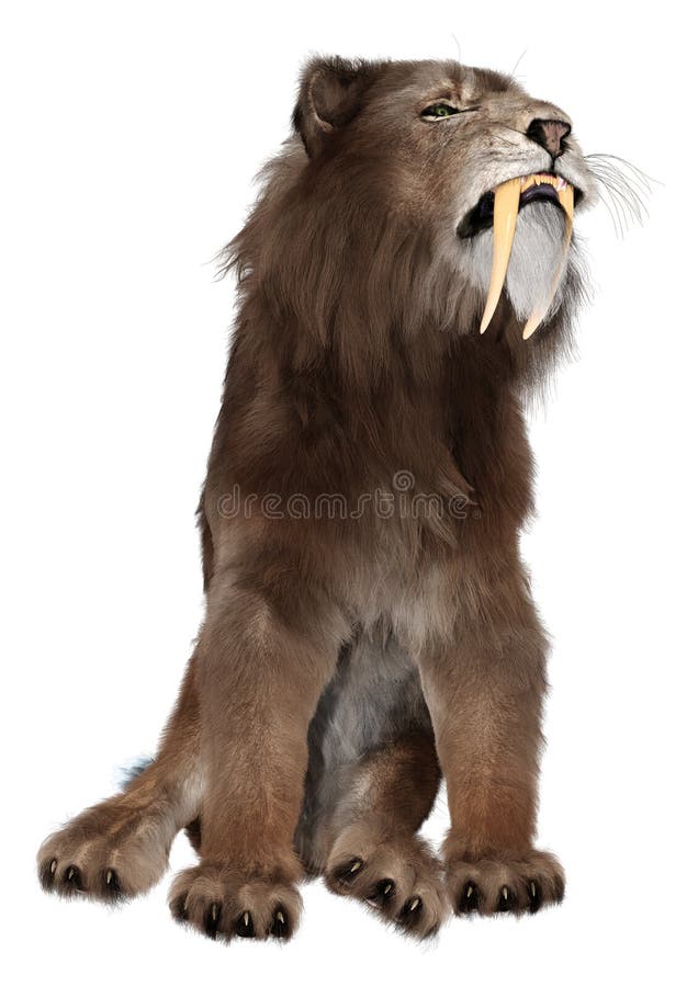 Tiger Sabertooth Stock Illustrations – 354 Tiger Sabertooth Stock ...