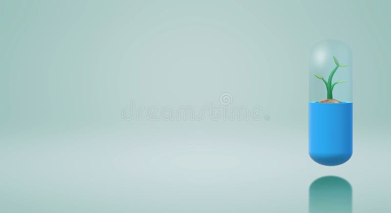 3d Rendering Capsule Tree Sapling for Medicine Content Stock ...