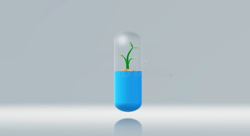 3d Rendering Capsule Tree Sapling for Medicine Content Stock ...