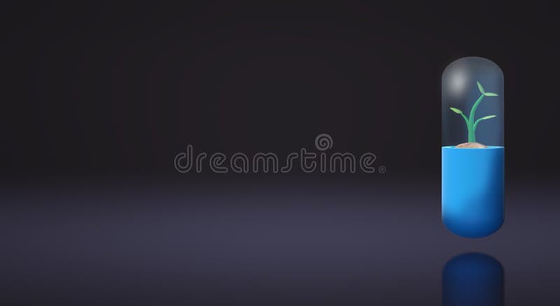 3d Rendering Capsule Tree Sapling for Medicine Content Stock ...