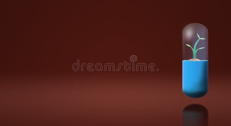 3d Rendering Capsule Tree Sapling for Medicine Content Stock ...