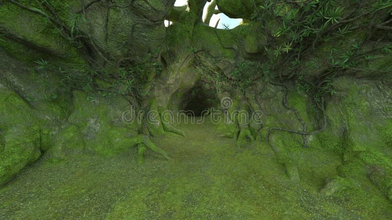 Tree through Cave stock video. Video of geology, view - 341425149
