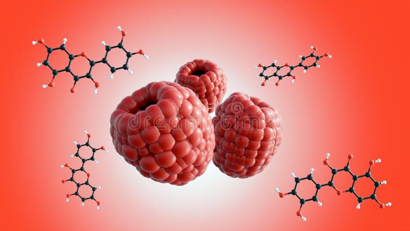 A 3d Rendering of Quercetin Molecule and Raspberries Stock Illustration ...