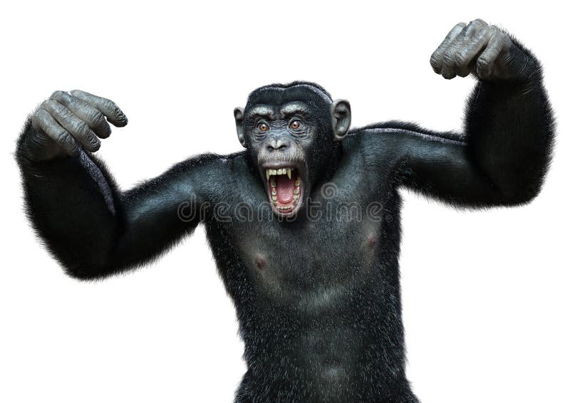 Chimpanzee Attack Stock Illustrations – 243 Chimpanzee Attack Stock ...