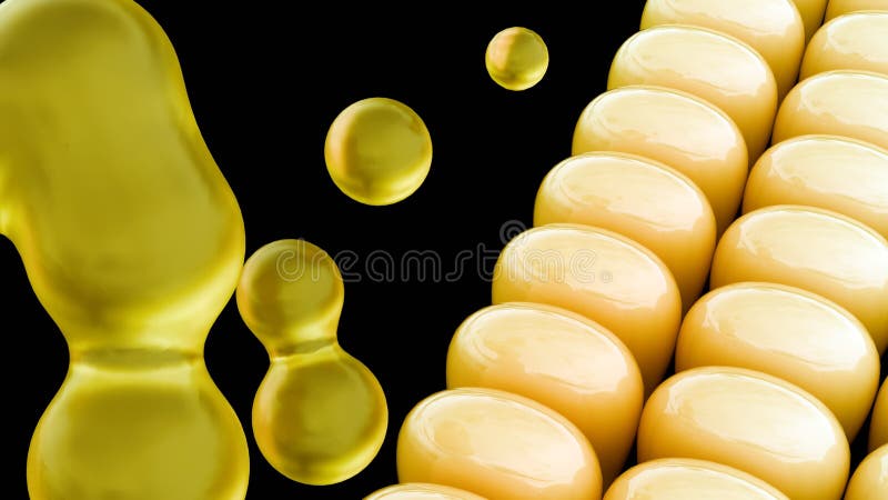 A 3D Rendering of Corn Kernels, a High Fructose Corn Syrup. Stock ...