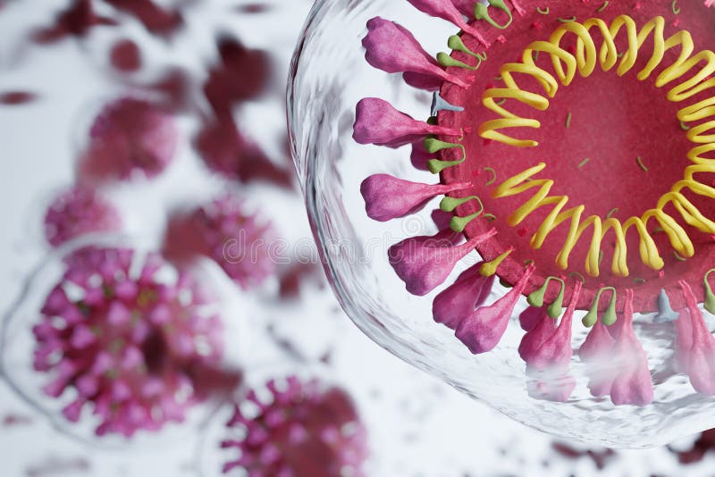 3D Rendering of Coronavirus Cross Section Having a Water Layer ...