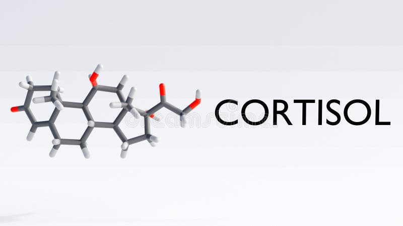 3D Rendering of Isolated Cortisol Molecules Stock Illustration ...
