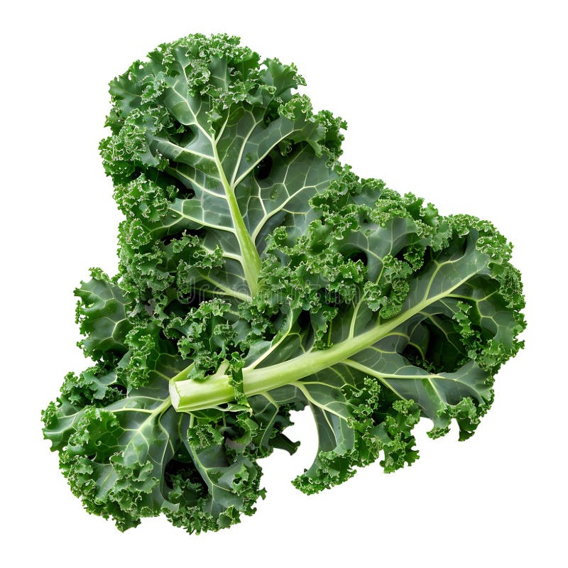 3D Rendering of a Curly Kale on Transparent Background - Ai Generated ...