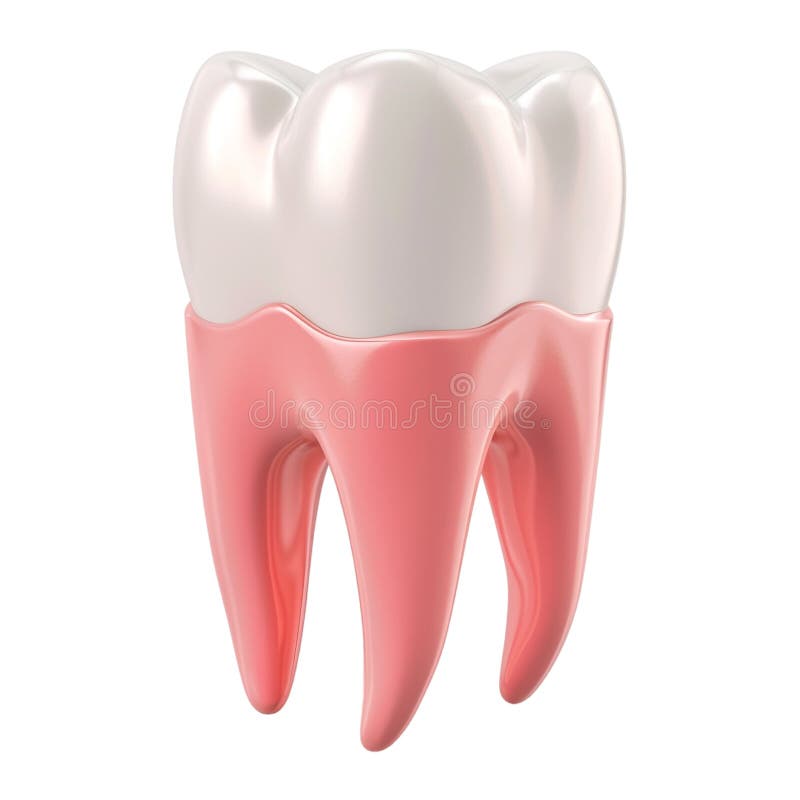 3D Rendering of a Dental Human Teeth on Transparent Background - Ai ...