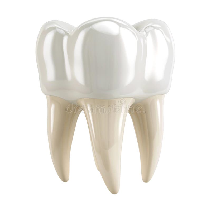 3D Rendering of a Dental Human Teeth on Transparent Background - Ai ...