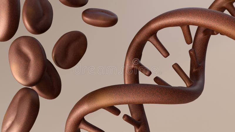 Roasted Coffee Beans Intertwined with a DNA Strand Molecule. Stock ...