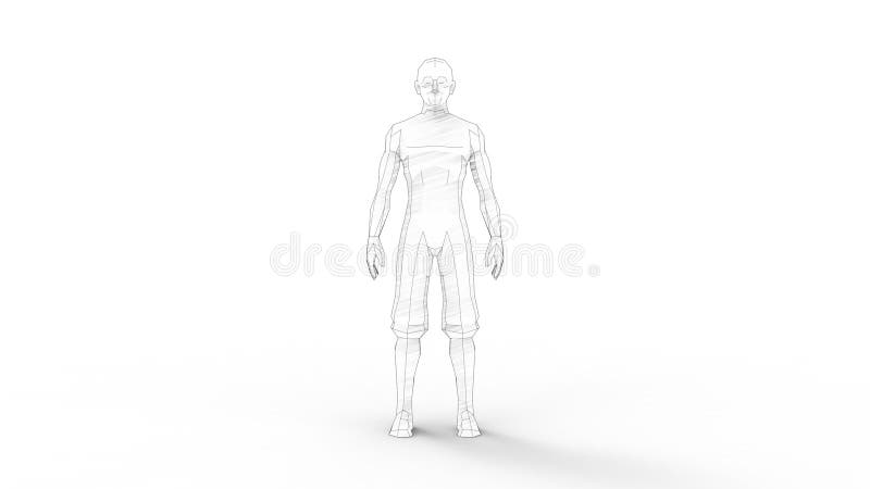 3D Rendering of a Digital Human Model Isolated in White Background ...