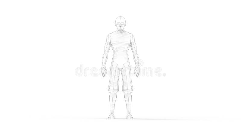 3D Rendering of a Digital Human Model Isolated in White Background ...