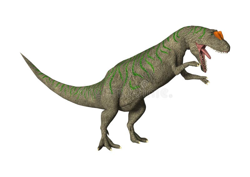 Allosaurus on White stock illustration. Illustration of organism - 32625634