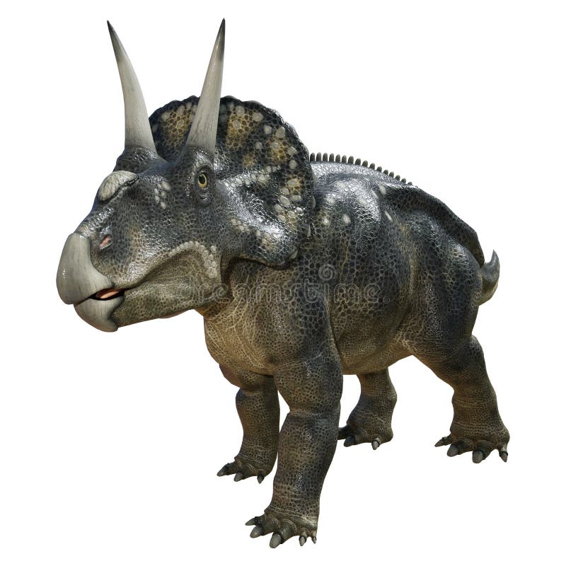 3D Rendering Dinosaur Diceratops on White Stock Illustration ...