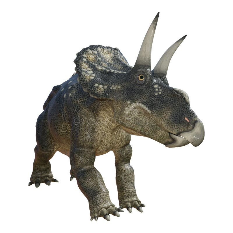 3D Rendering Dinosaur Diceratops on White Stock Illustration ...