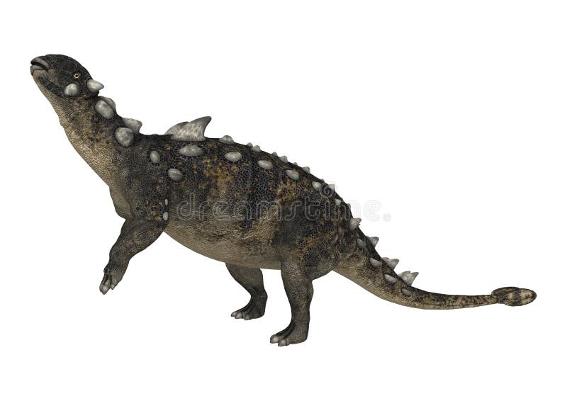 3D Rendering Dinosaur Euoplocephalus on White Stock Illustration ...