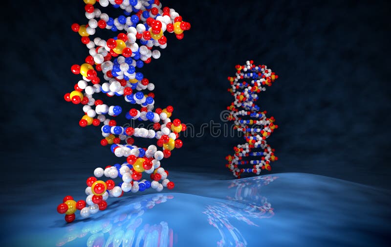 3D Rendering of the Human Cell Cross Section Stock Illustration ...