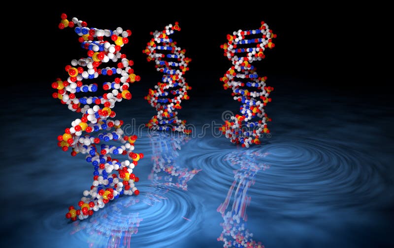 3D Rendering of DNA Molecules on Blue Surface Stock Illustration ...
