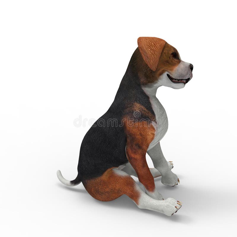 3d Rendering Of Dog Created By Using A Blender Tool Stock Illustration ...
