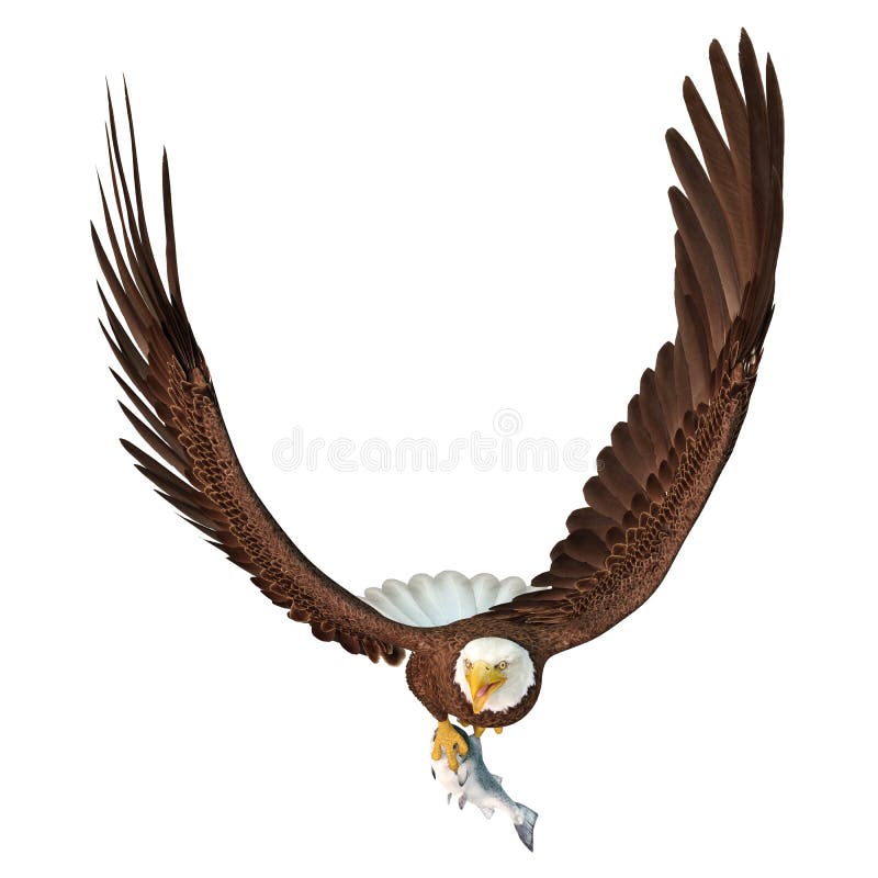Eagle Carrying Fish Stock Illustrations – 26 Eagle Carrying Fish Stock ...