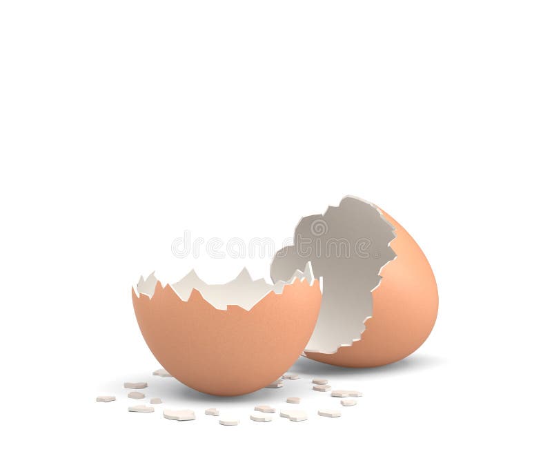 Empty Egg Shell