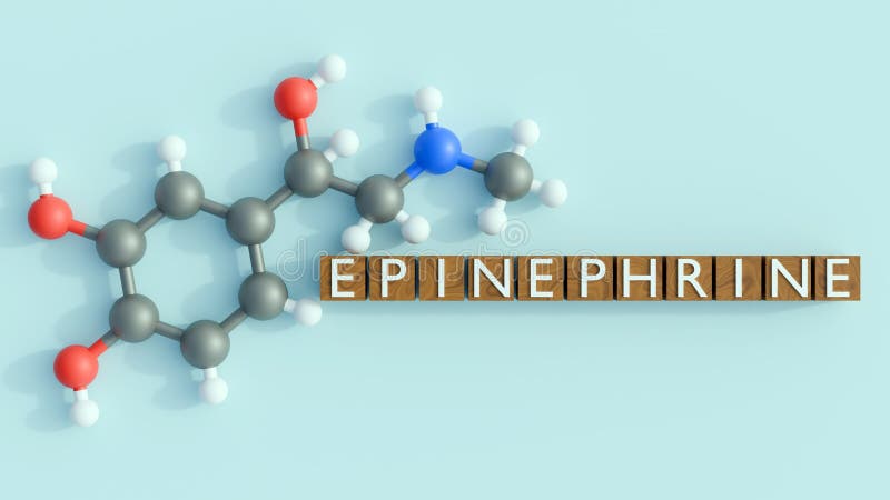 3d Rendering of Epinephrine or Adrenaline Molecule Stock Illustration ...