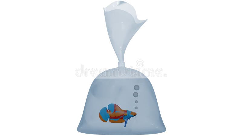 A 3D Rendering Faceless Cute Cartoon Orange Blue Fish in Plastic Bag ...