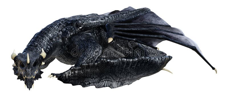 Sleeping Dragon Black White Stock Illustrations – 49 Sleeping Dragon ...