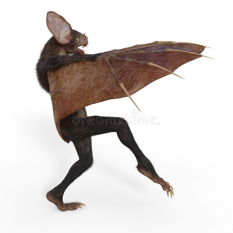 Fantasy Werebat Stock Illustrations – 27 Fantasy Werebat Stock ...
