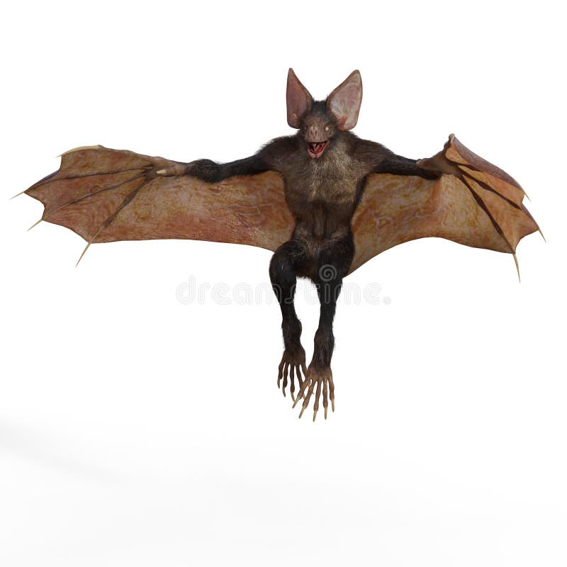 3d-illustration of an Isolated Creepy Fantasy Werebat Stock ...