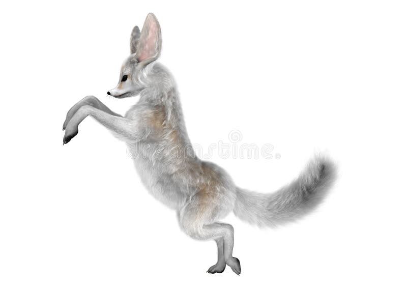 3D Rendering Fennec Fox on White Stock Illustration - Illustration of ...