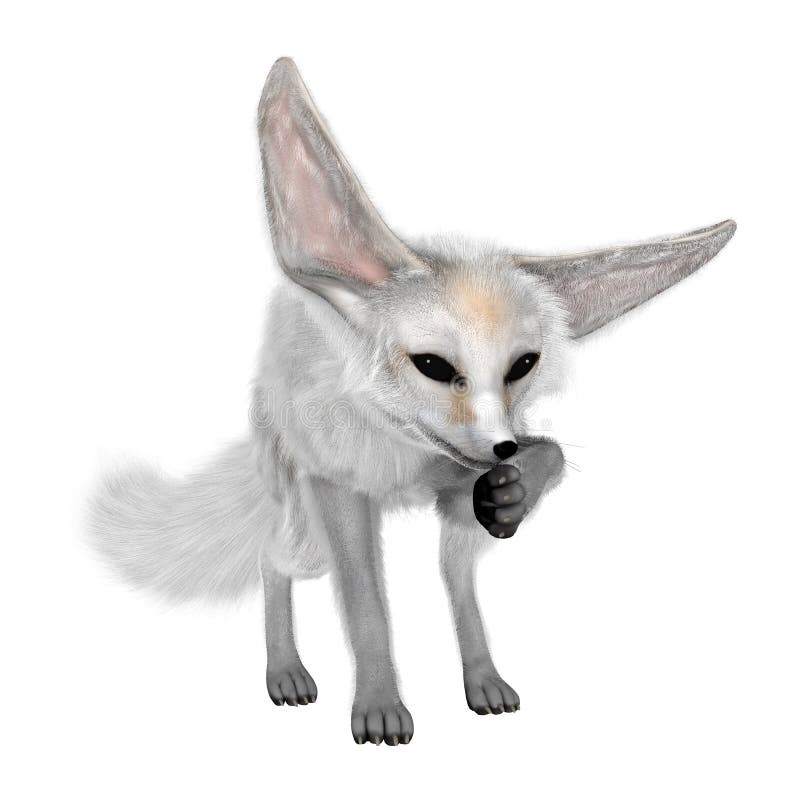 3d Rendering Fennec Fox White Stock Photos - Free & Royalty-Free Stock ...