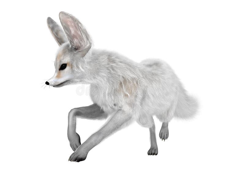 3D Rendering Fennec Fox on White Stock Illustration - Illustration of ...