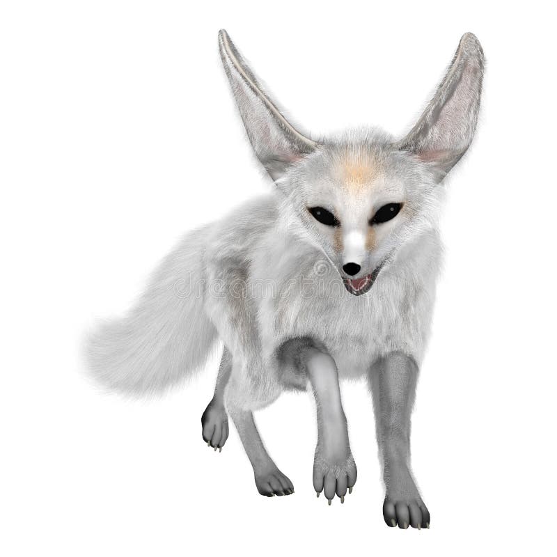 3D Rendering Fennec Fox on White Stock Image - Image of carnivore ...