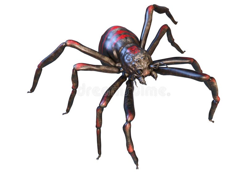 3D Rendering Giant Fantasy Spider on White Stock Illustration ...