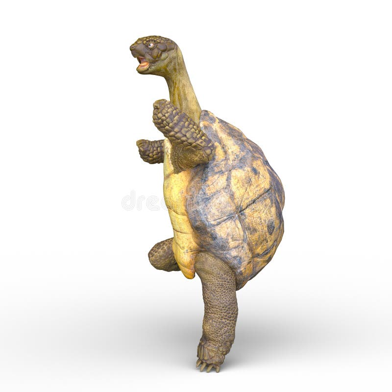 3D Rendering of a Giant Tortoise Stock Illustration - Illustration of ...