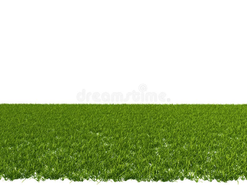 3d Rendering of a Grass Patch for Architectural Use Stock Illustration ...