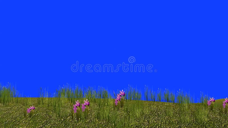 3D Rendering of Grasses and Trees Swaying in the Wind. Stock Video ...