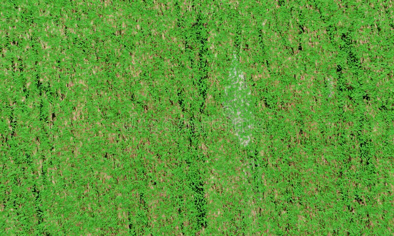 3D Rendering. Green Grass Lawn Texture Background. Top View Stock ...